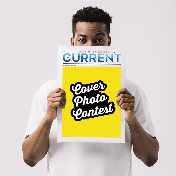 About - The Cape Current