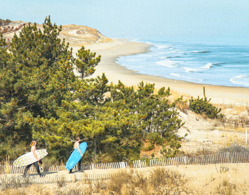 The Do’s & Don’ts of Dune Etiquette - The Cape Current