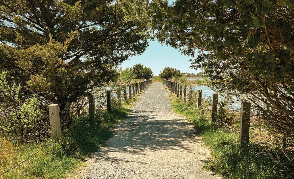 Visit an Island at Delaware Seashore Park