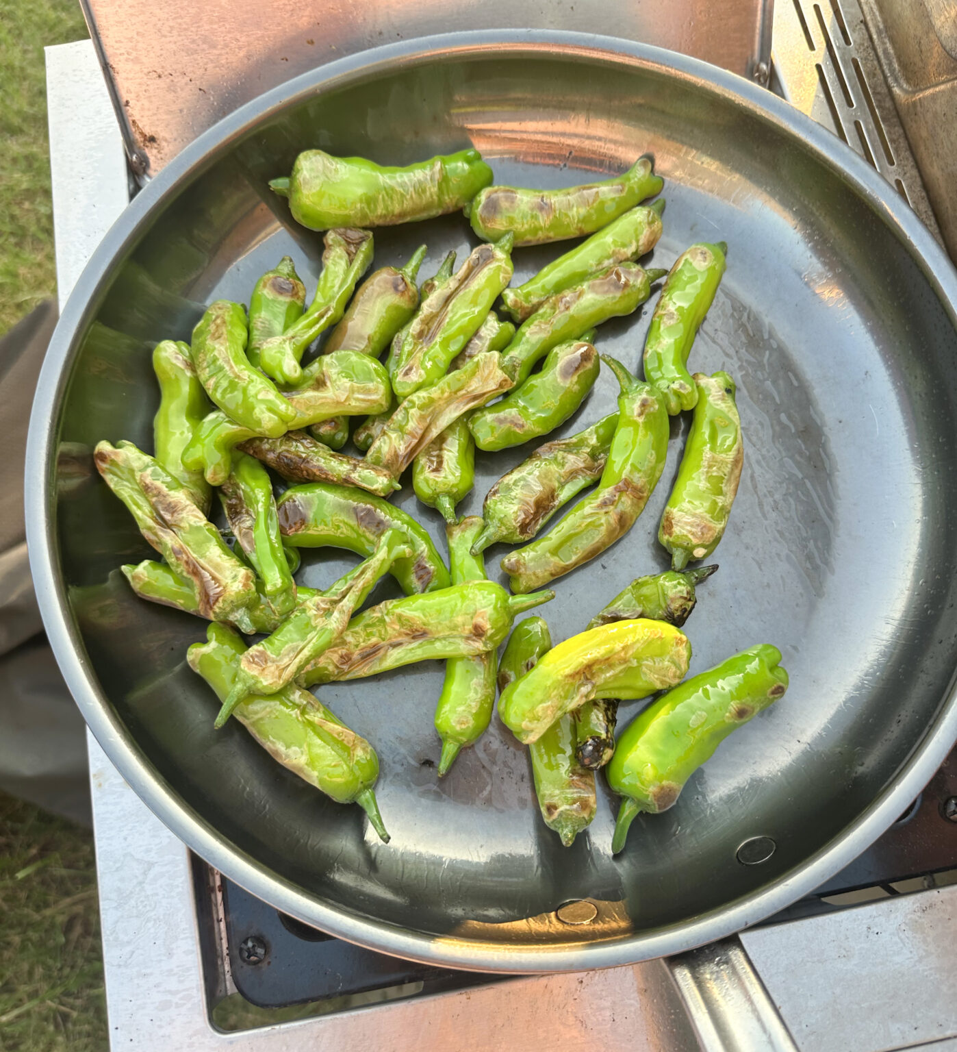 The Joy of Shishitos - The Cape Current